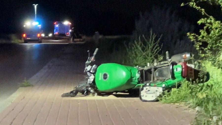 Tragiczny wypadek pod Wołominem. Motocyklista uderzył w łosia