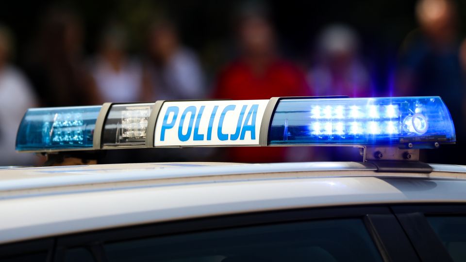 Georgian gangs increasingly active in Poland