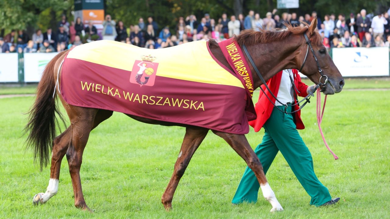 Wyścigi konne, Służewiec 2023: Wielka Warszawska [transmisja na żywo, online, live stream] (01. ...