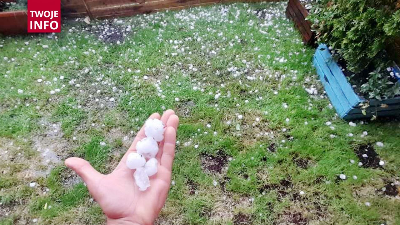 Gradobicie | TVP INFO