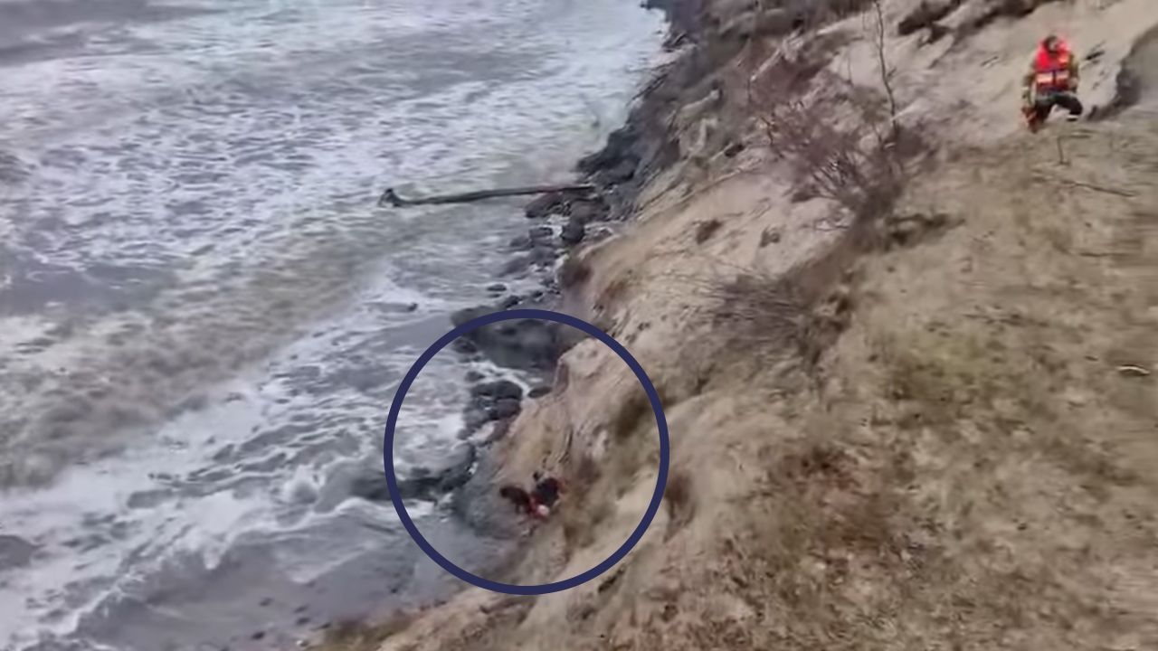 Pomorskie, Ustka. Kobieta chciała pomóc psu, mogła stracić życie | TVP INFO